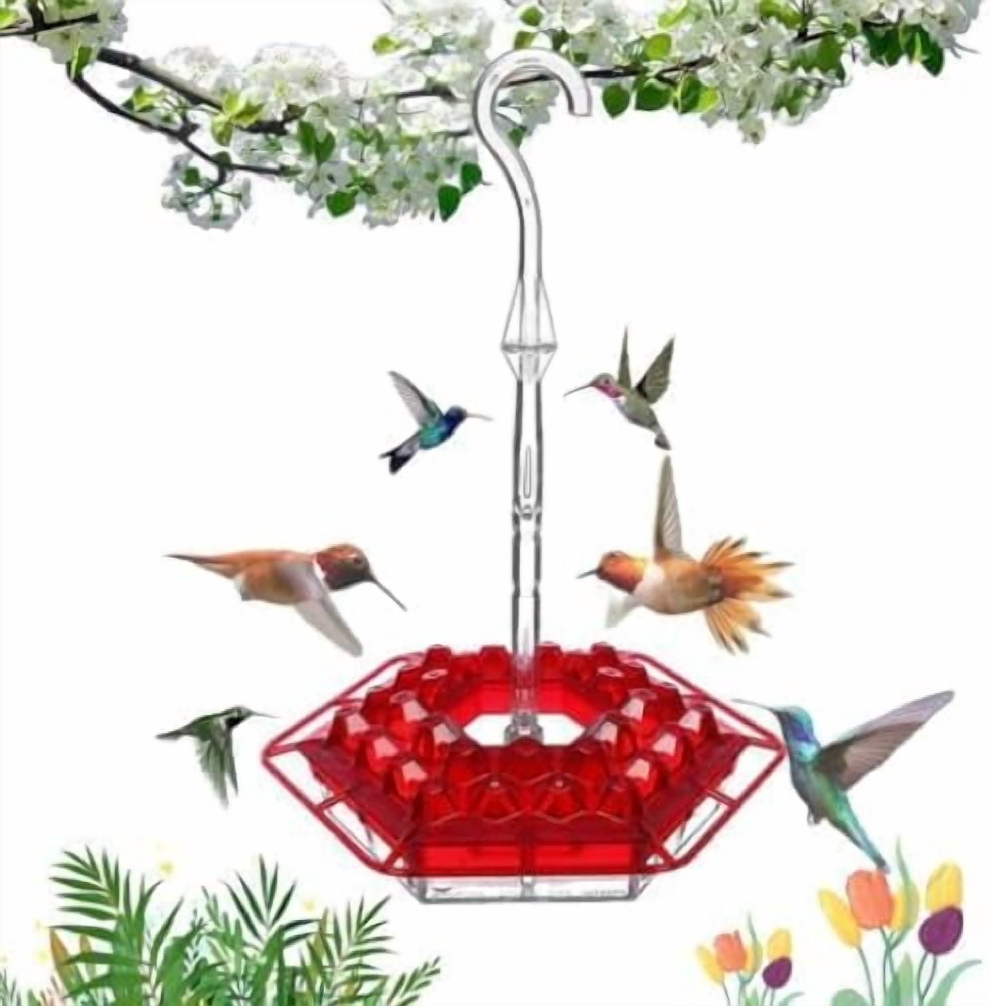 New Mary Hummingbird Feeder with Perch and Built-in Ant Moat, 30 Feeder ...