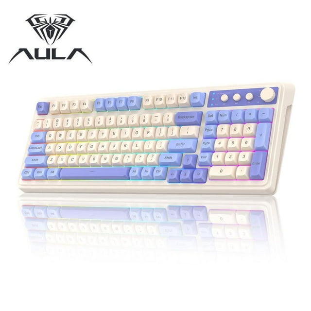 (New) Mechanical Keyboard, Hot Swappable Custom Gaming Keyboard, Tri ...