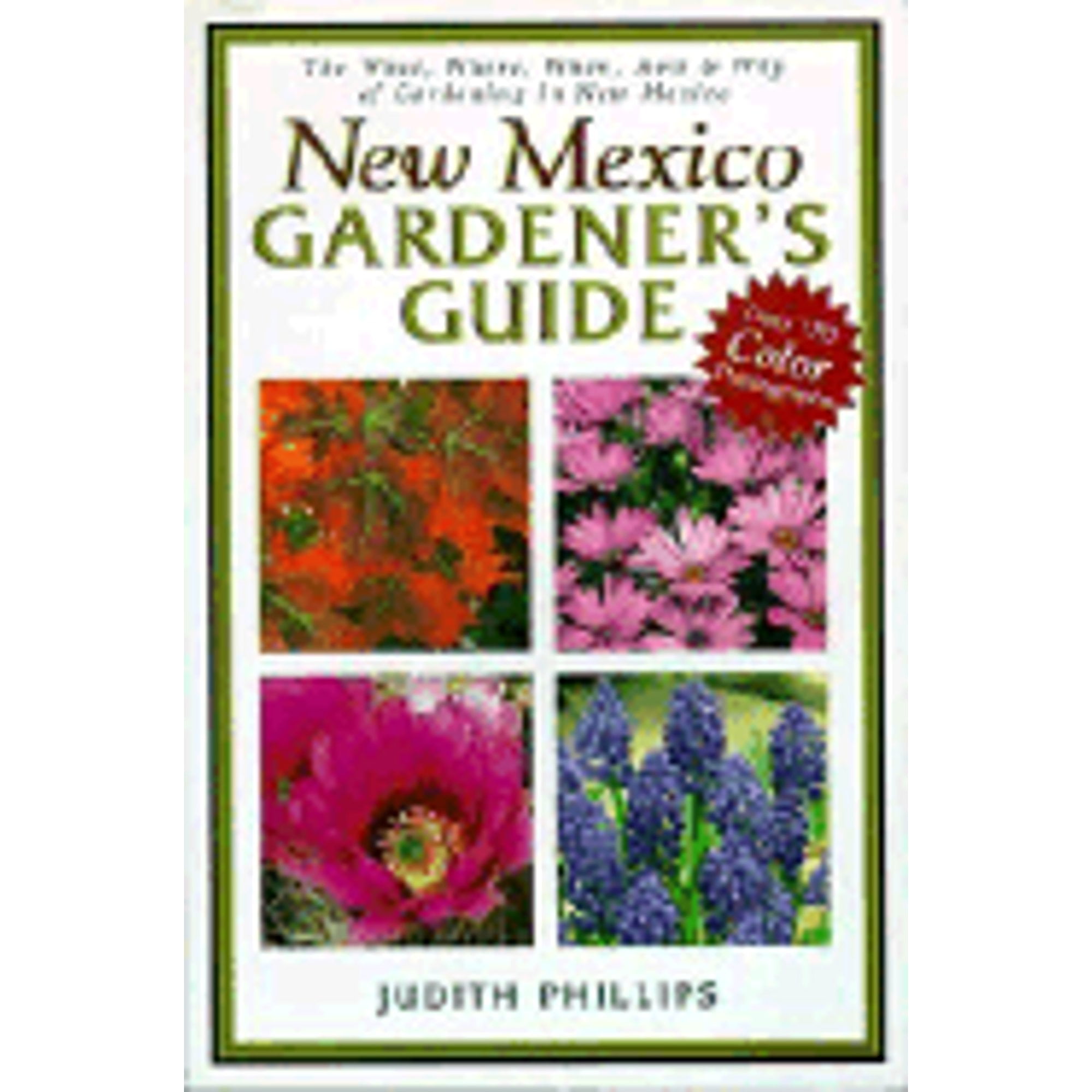 Judith Phillips Books - Walmart.com