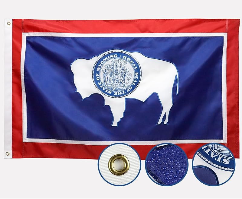 New Minnesota State Flag 3x5 Outdoor The Longest Lasting MN Flags Heavy ...