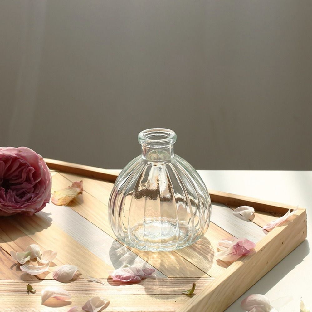 New Nordic Simple Transparent Hydroponic Terrarium Flower Pot Glass ...