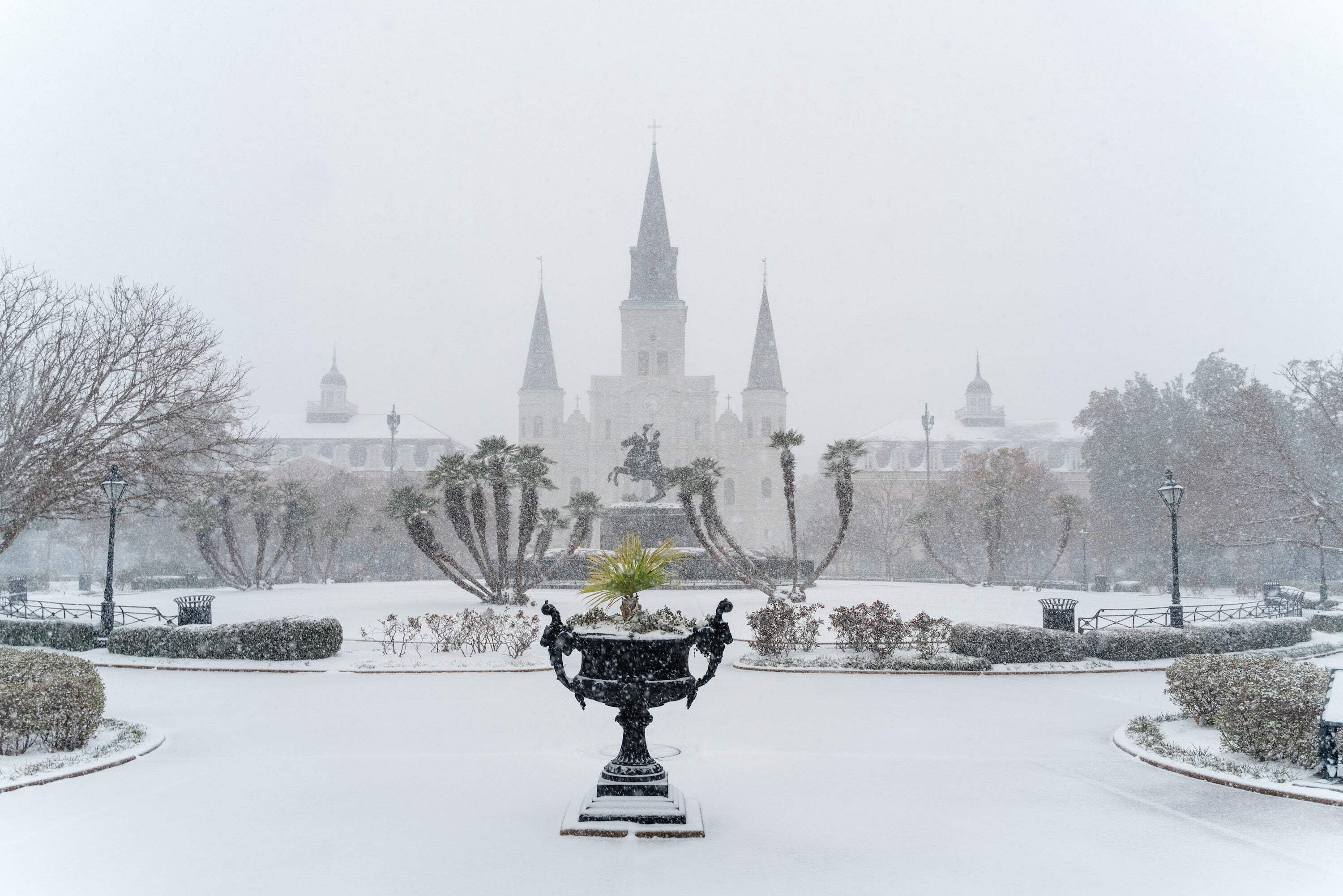 New Orleans Snow Cathedral 2025 GLOSSY POSTER PICTURE PHOTO PRINT ...