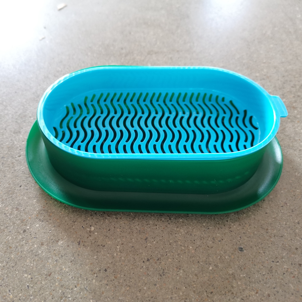 New Pet Cat Sprout Dish Growing Pot Hydroponic Plant Cat Grass ...