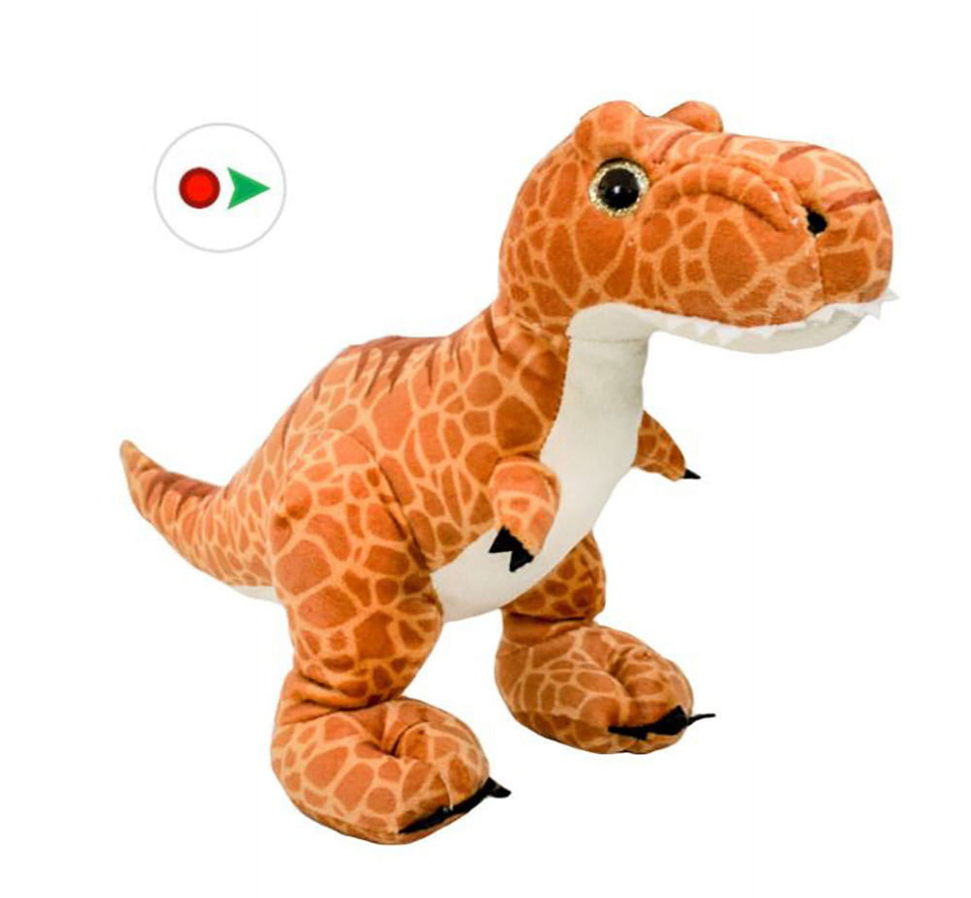 New Record Your Own Plush 8 inch Terry the T-Rex. Ready to Love in a ...