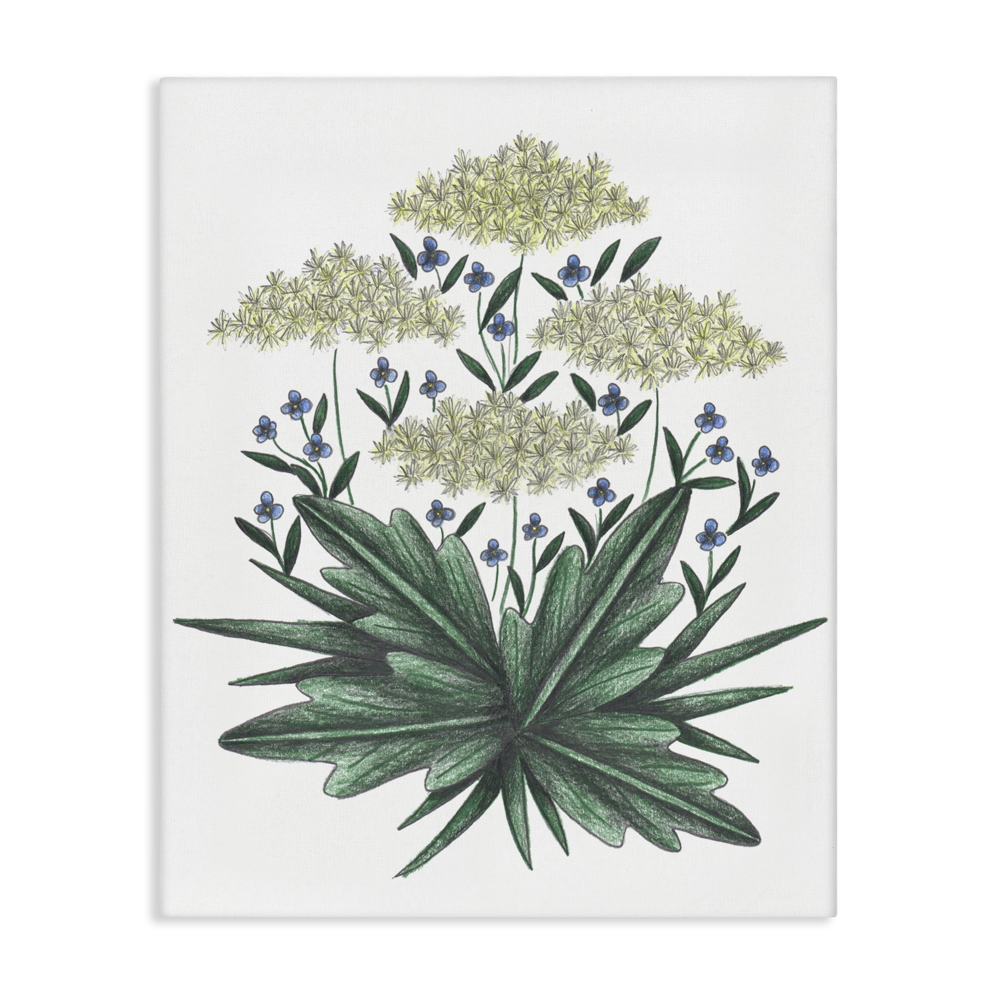 New Roots Vintage Sketch Canvas Wall Art, design by Cecilia Battaini ...