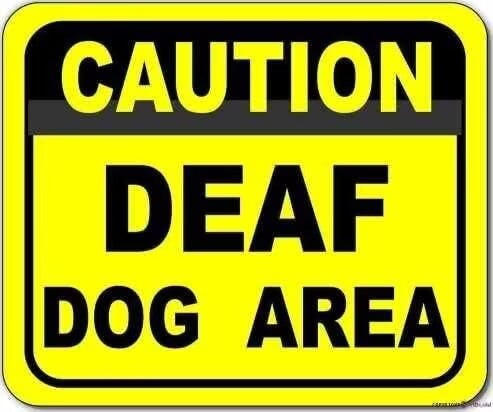 New Sign Dog Caveat Sign/Caution Deaf Dog Area Outdoor Sign Decor ...