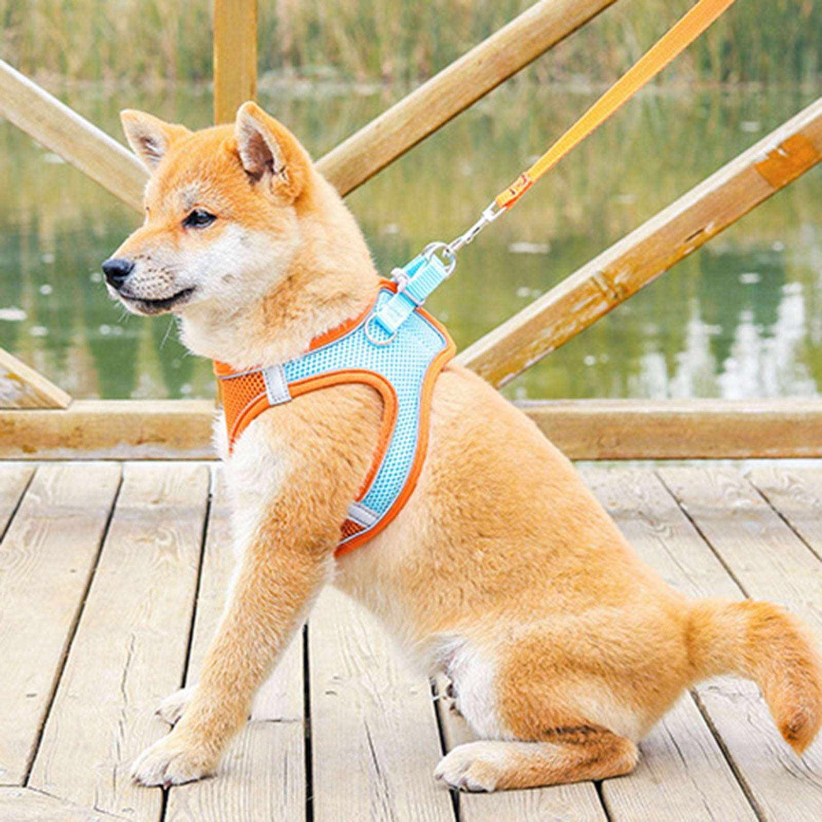 New Soft Small Dog Harness Cat Steps for Older Cats and Leash Set Step ...