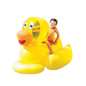 Inflatable Ducks