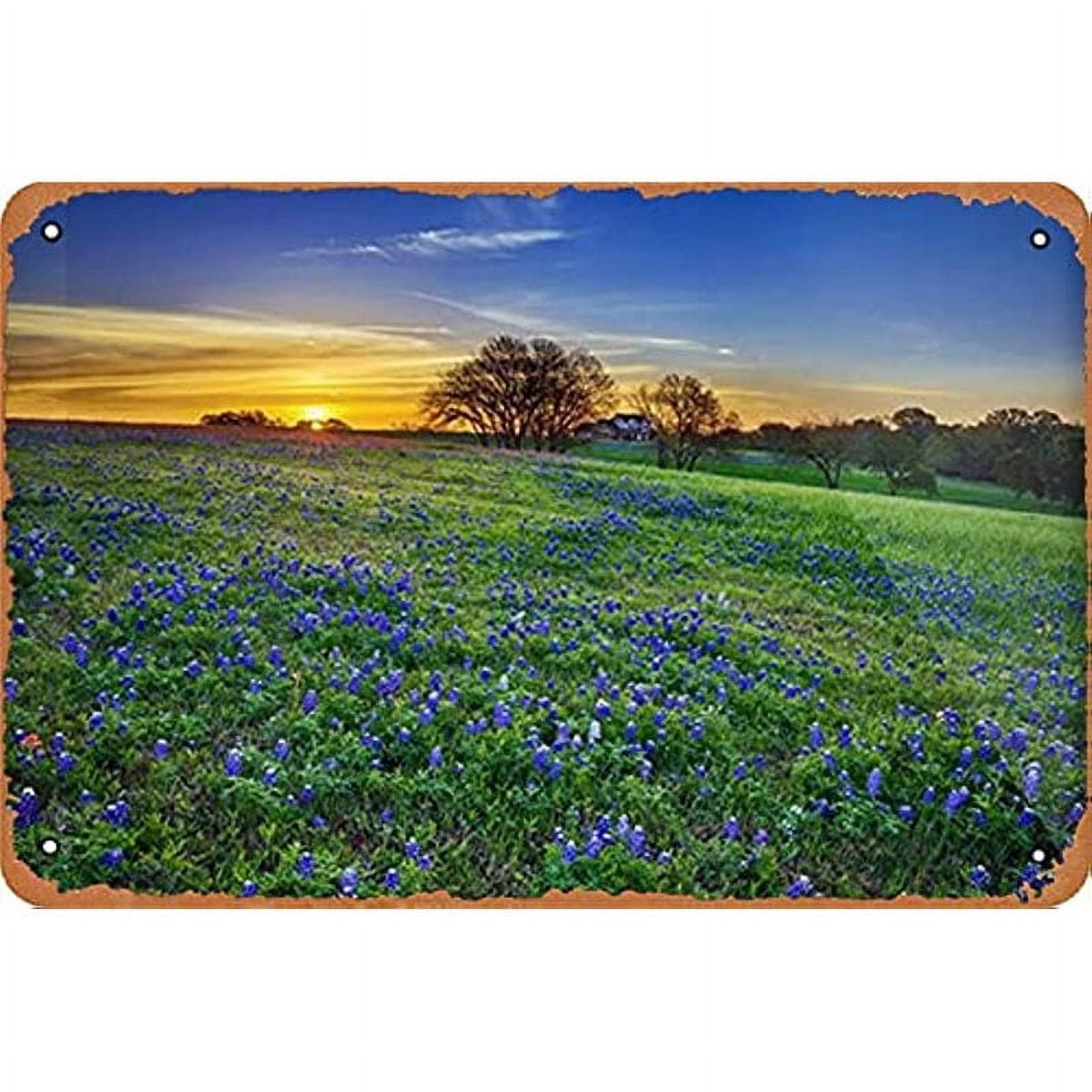 New Texas, Bluebonnet Field at Sunrise Vintage Metal Sign Retro Decor ...