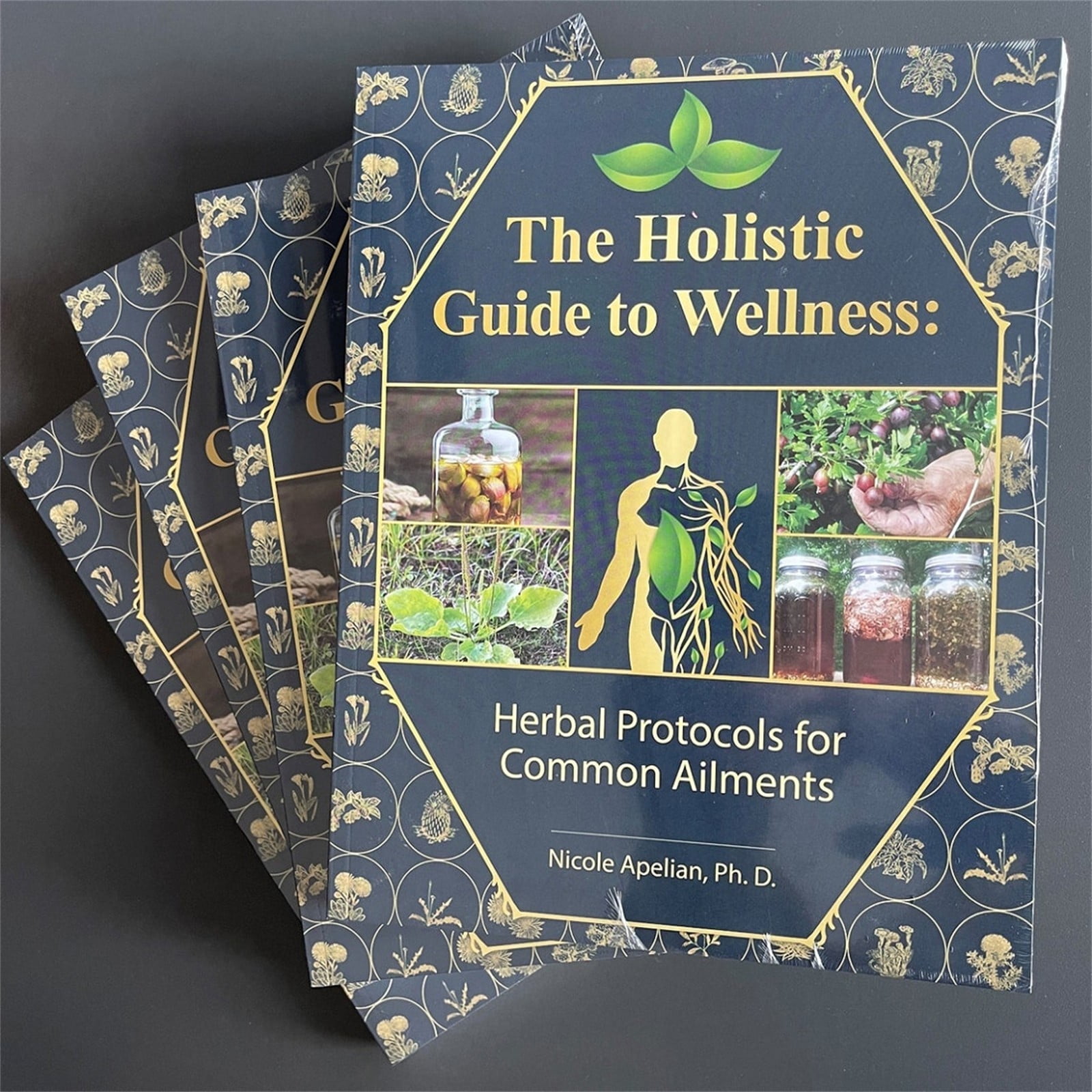 New The Naturals The Book Lost book of herbal remedies The Holistic Guide to Wellness - Your ...
