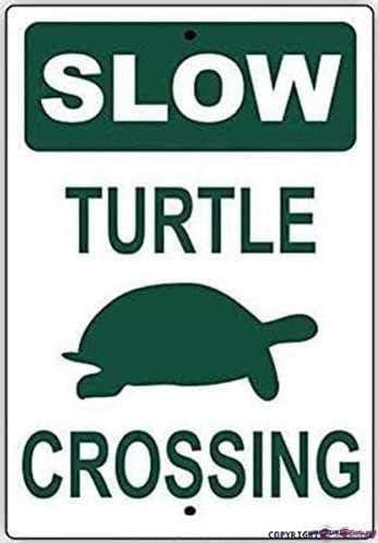 New Warning Signs Metal Tin Sign -slow Turtle Crossing With Graphic No ...