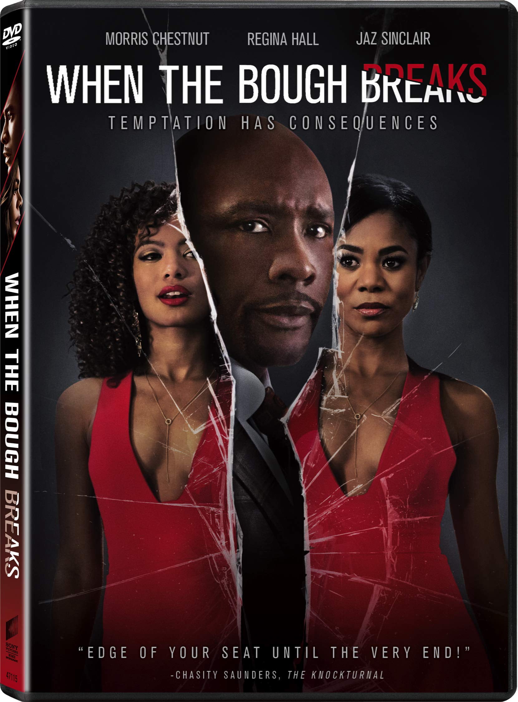 When the Bough Breaks [DVD] - Walmart.com