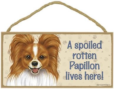 New Wood Sign 10x5 Inch Door Sign A Spoiled Rotten Papillon Lives Here ...