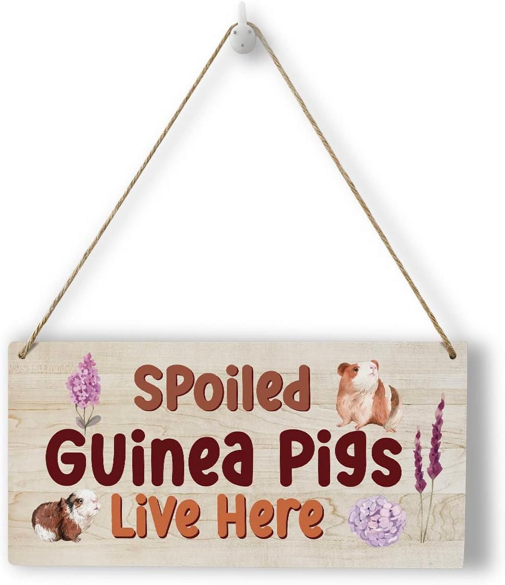 New Wood Sign 10x5 Inch Door Sign Spoiled Guinea Pigs Live Here Hanging ...