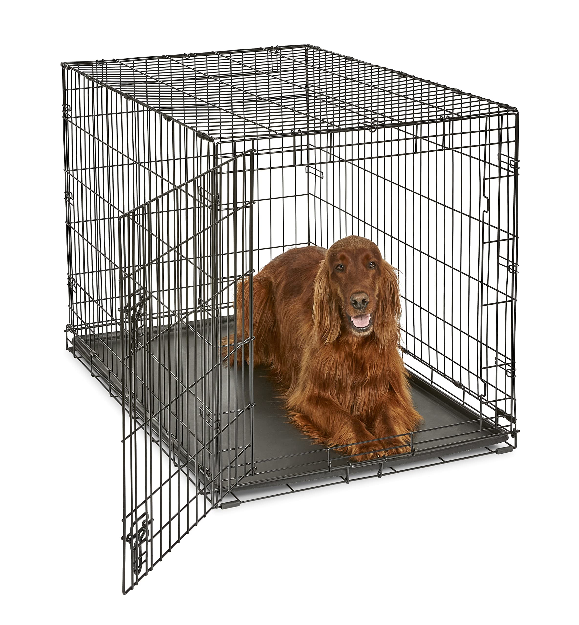 New World Newly Enhanced Single Door FST1 New World Dog Crate, Includes ...