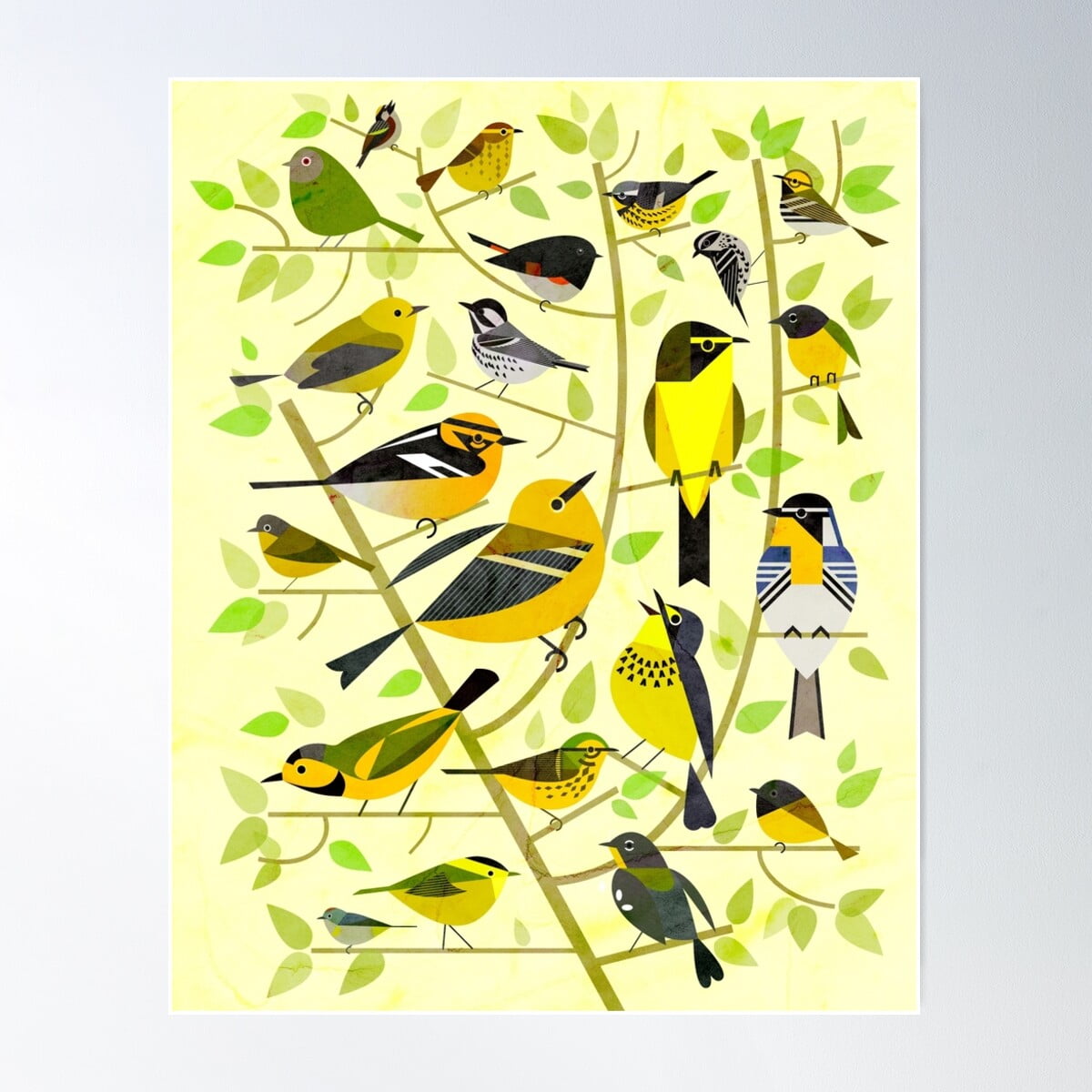 New World Warblers 1 Poster Wall Art, Modern Wall Decor For Living Room ...