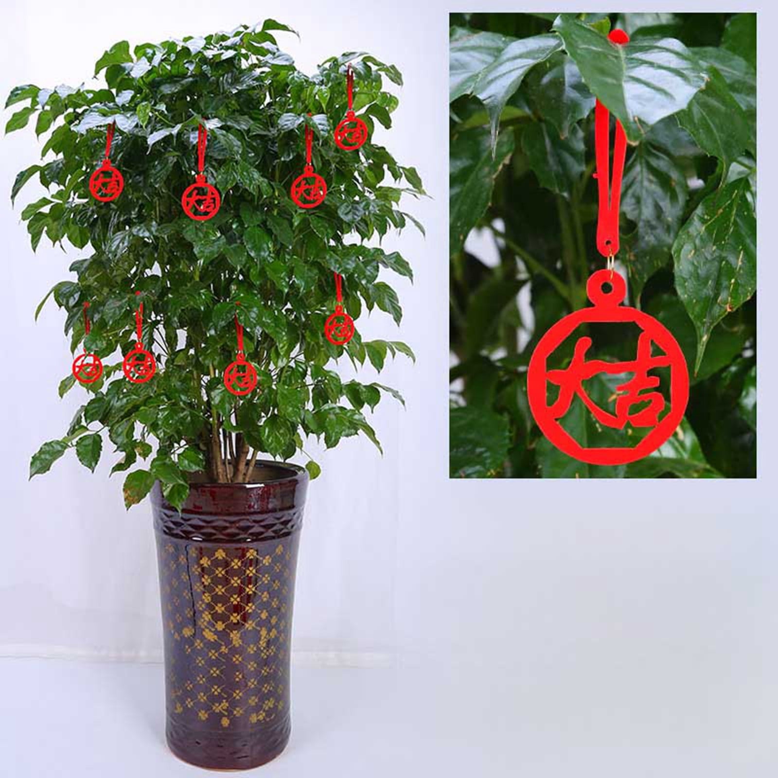 New Year Decoration Set Spring Festival Chinese Knot Fortune Family ...