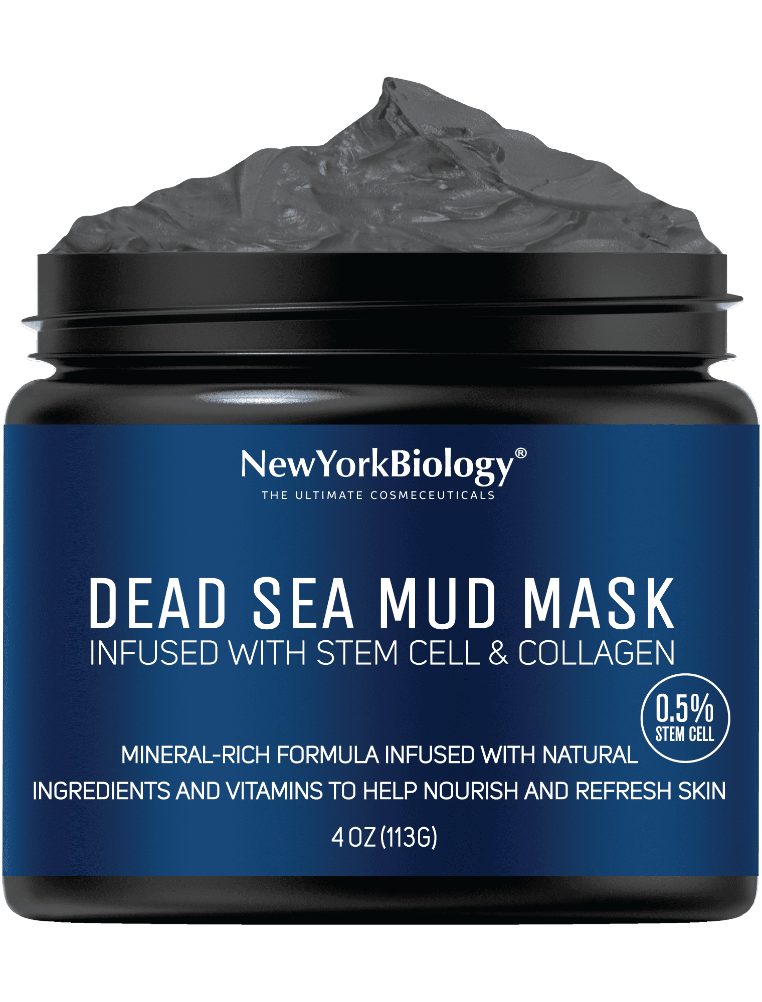 New York Biology Dead Sea Mud Mask - Pore Reducer, Acne Treatment, Skin ...