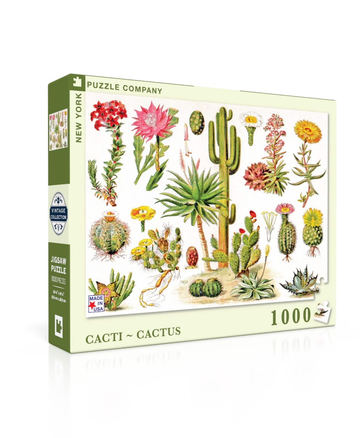 New York Puzzle Company Cacti ~ Cactus 1000 Piece Jigsaw Puzzle ...