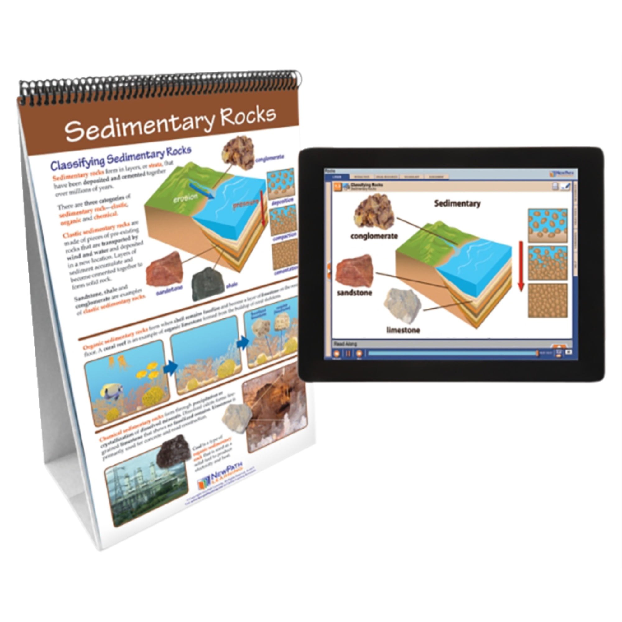 NewPath Learning All About Rocks Flip Chart Flip Chart with Online ...