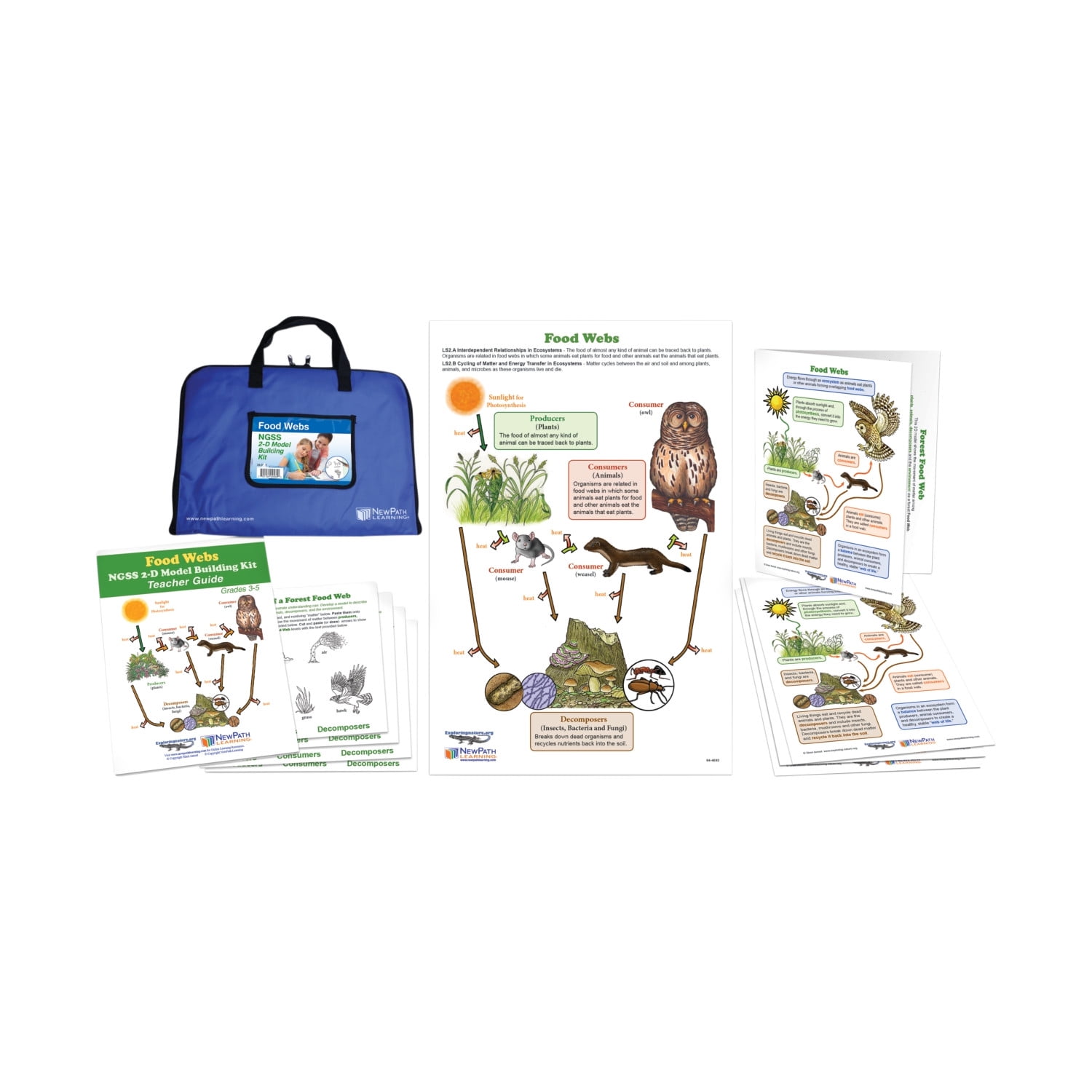 NewPath Learning Food Webs NGSS 2D Model Building Kit - Walmart.com