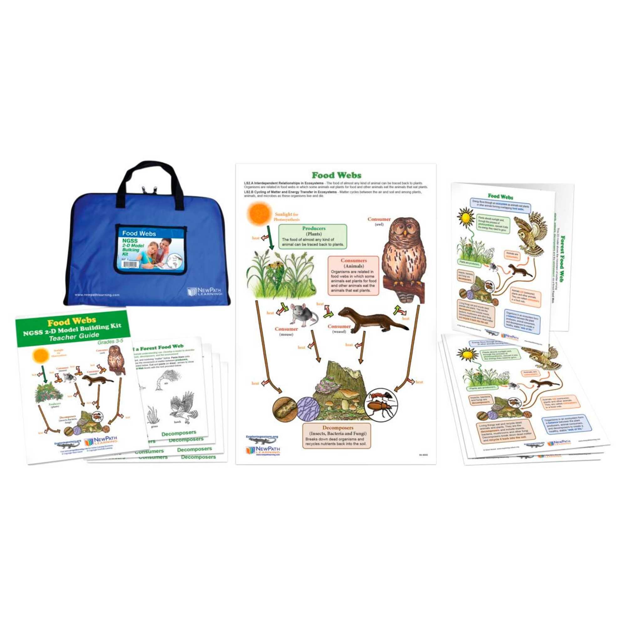NewPath Learning Food Webs NGSS 2D Model Building Kit - Walmart.com
