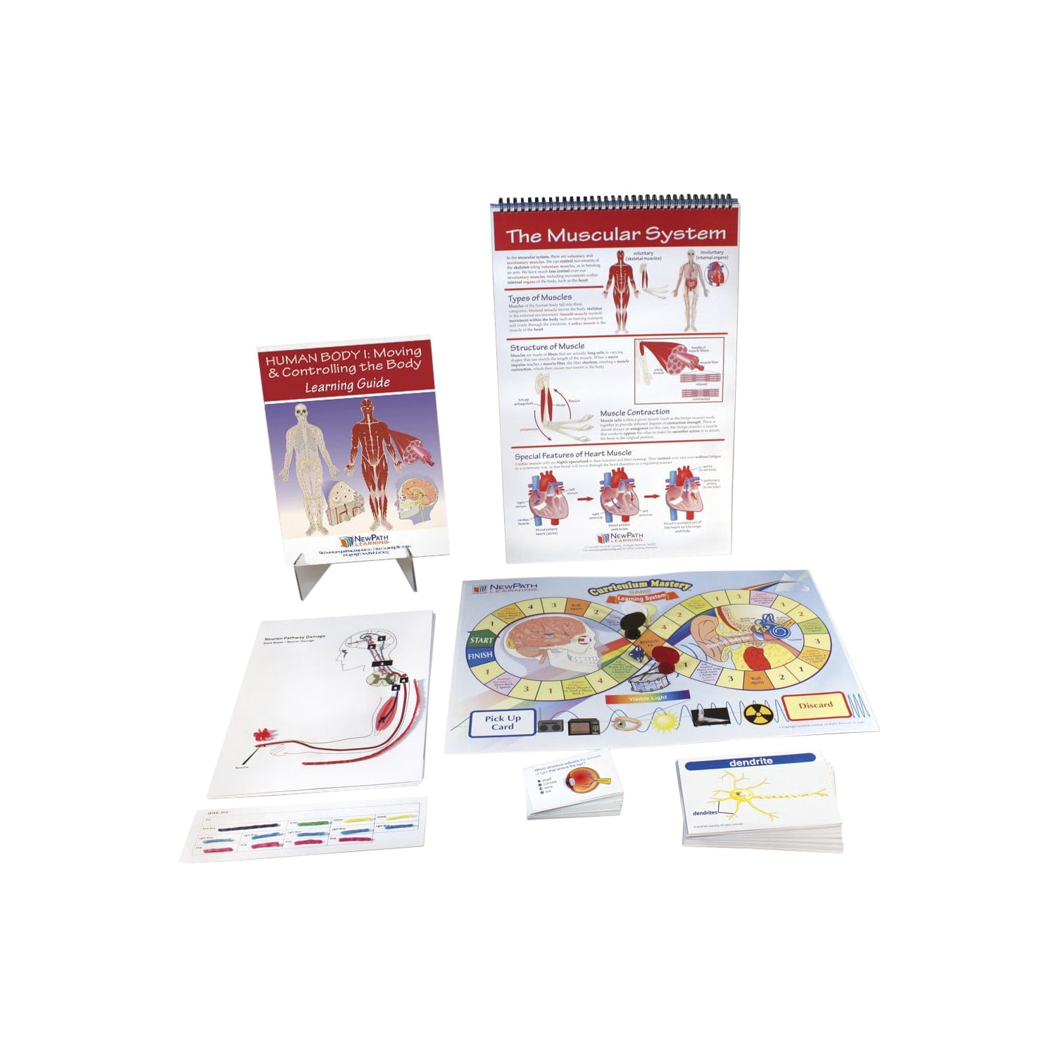NewPath Learning Human Body I, Moving and Controlling the Body ...