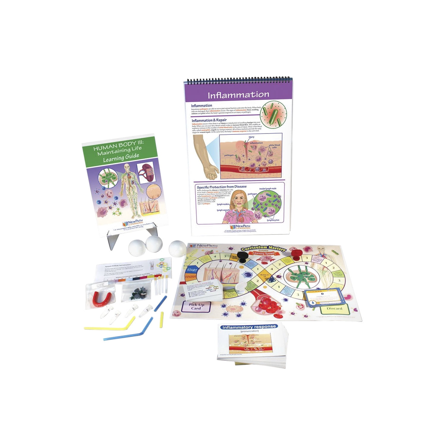 NewPath Learning Human Body III, Maintaining Life Curriculum Learning ...