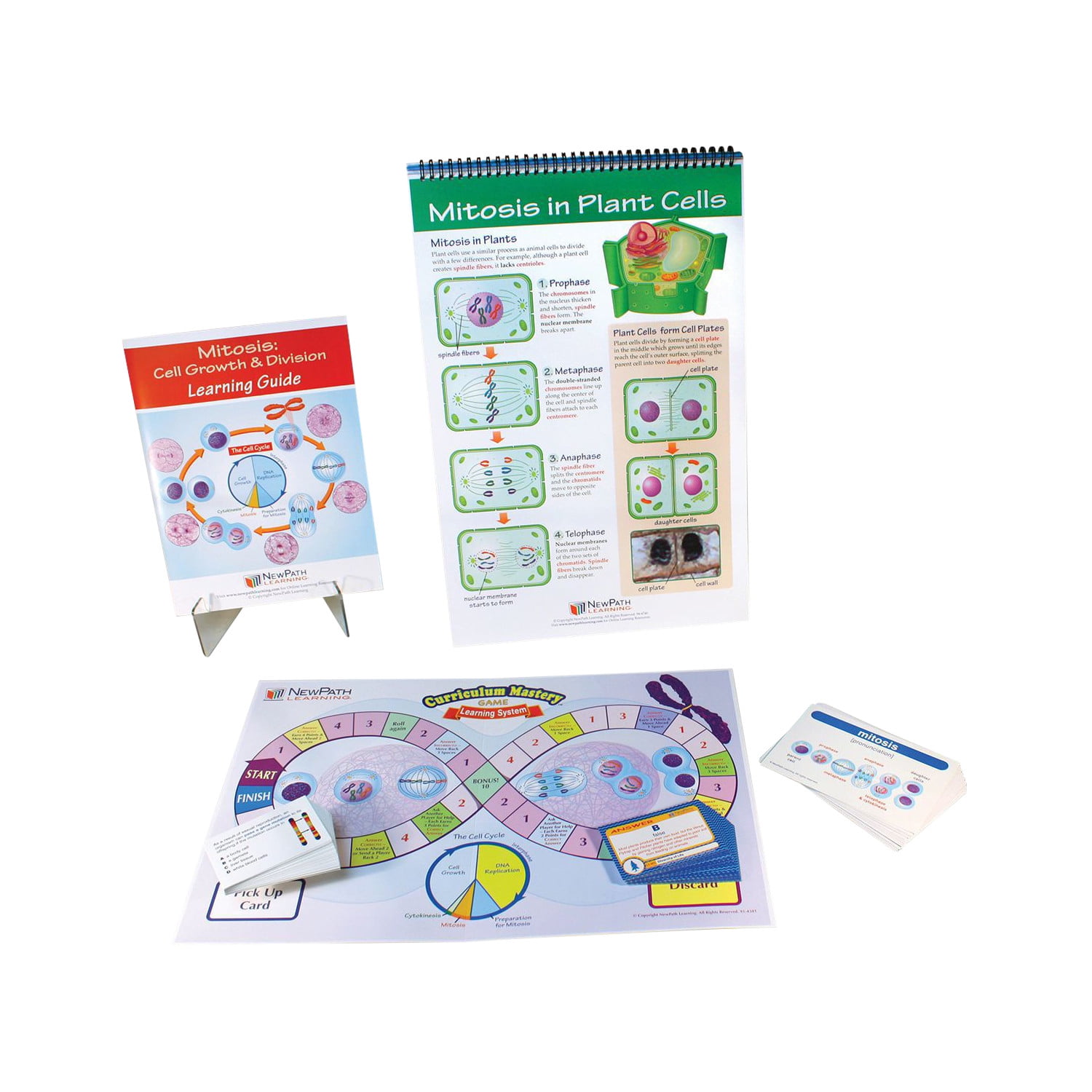 NewPath Learning Mitosis: Cell Growth & Division Curriculum Learning ...