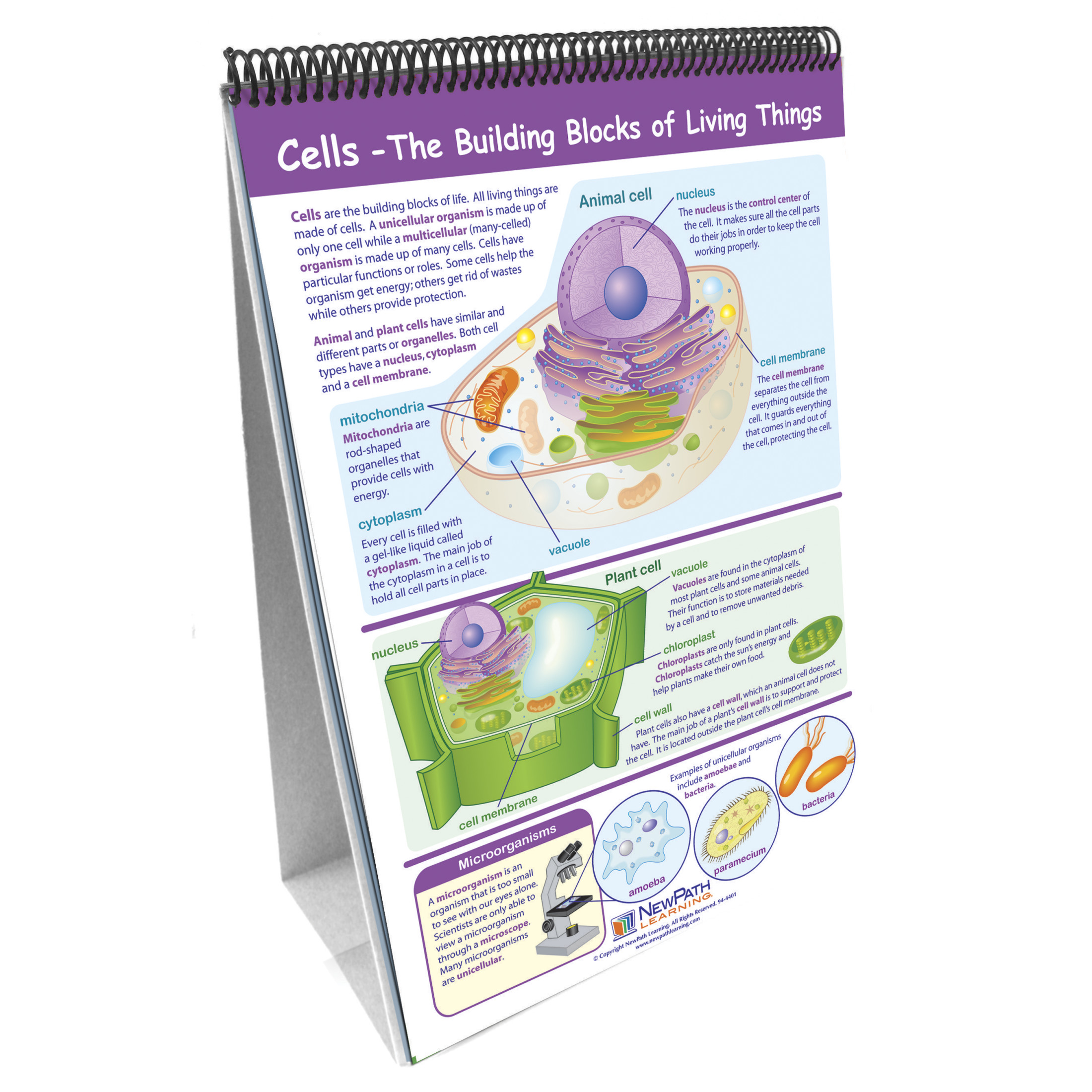 NewPath Learning Science Write-On/Wipe-Off Flip Chart Set, Grade 4 ...