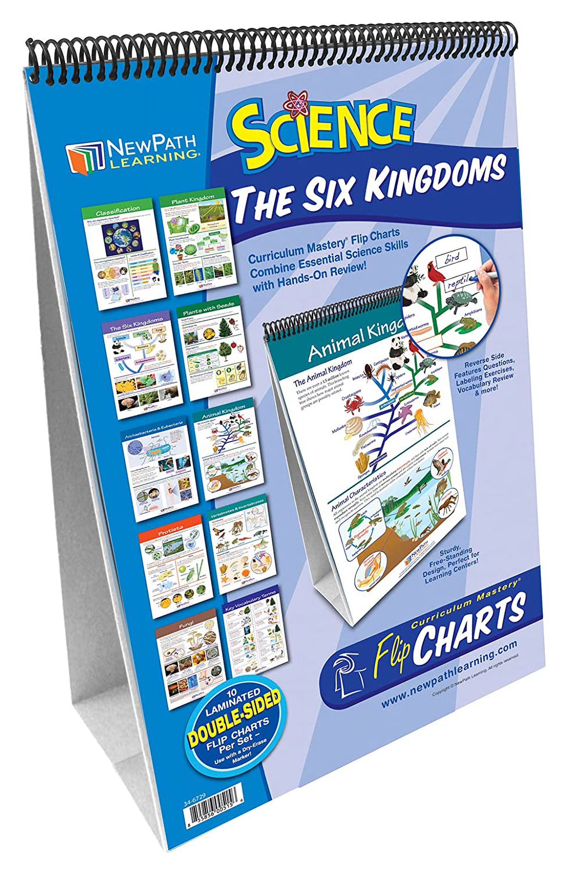 NewPath Learning Six Kingdoms Laminated, Double-Sided Write-On/Wipe-Off ...
