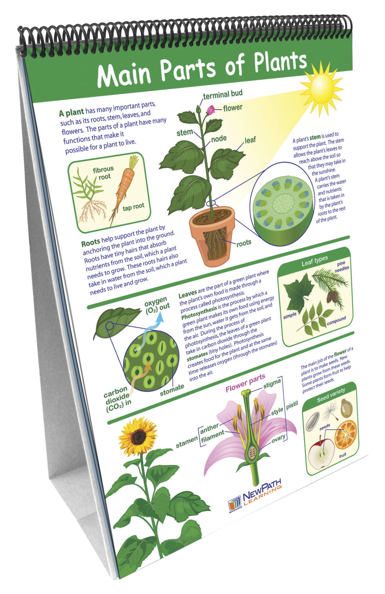 New Path Learning Science Flip Chart Set Gr 3 343001 - Walmart.com