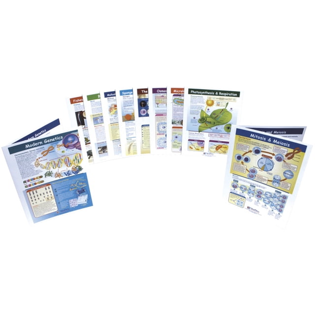 NewPath Science Visual Learning Guides, Grade 1 - Walmart Business Supplies