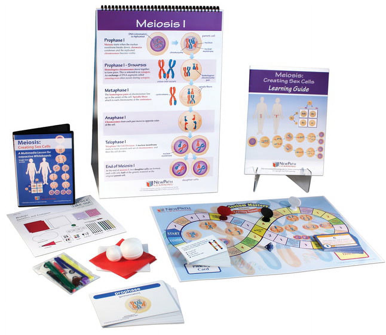 NewPath's Meiosis Curriculum Learning Module - Walmart.com