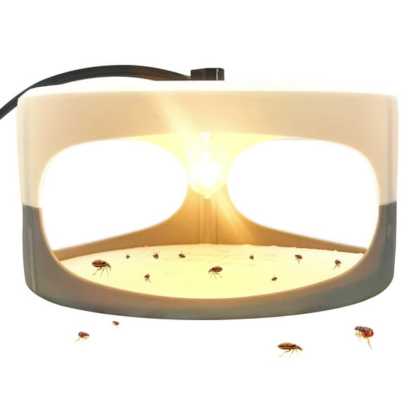 Flea Light Trap