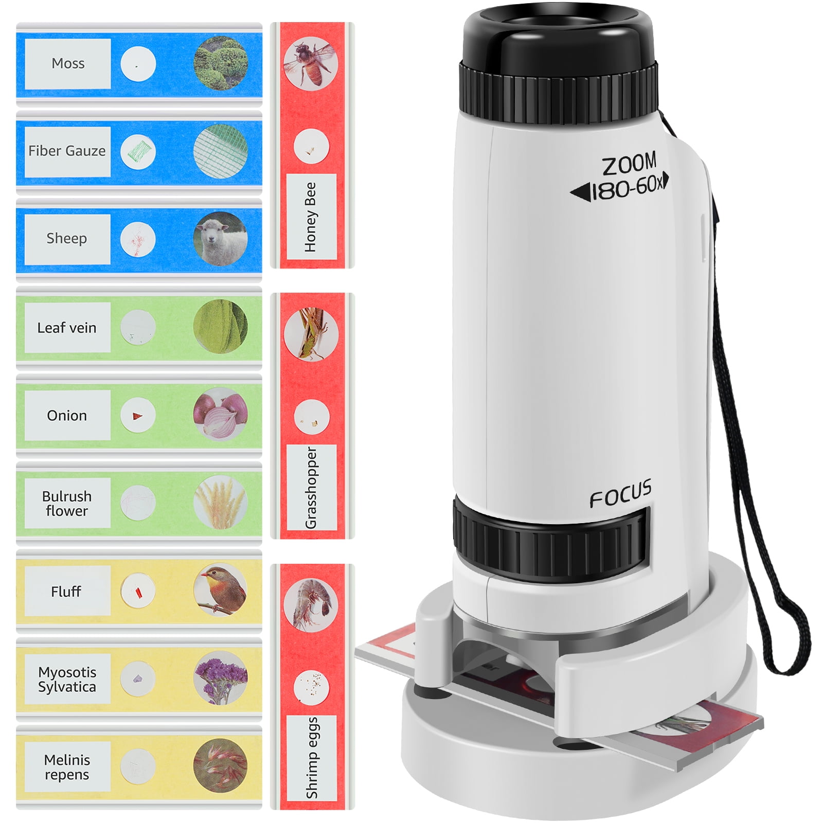 FUYGRCJ Mini Labsters Portable Microscope for Kids Age 3+, LED Lighted ...