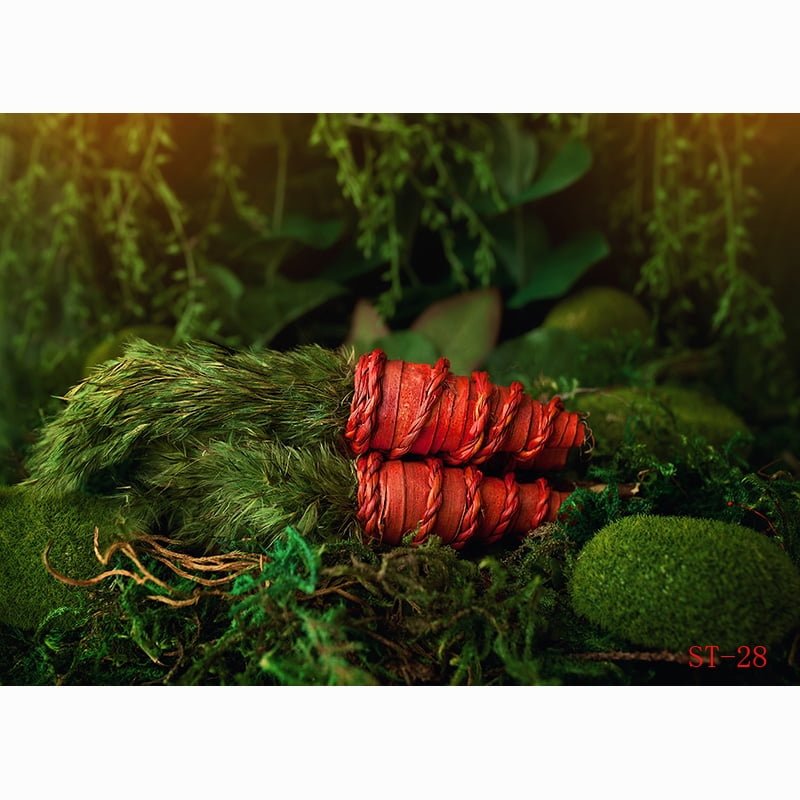 Newborn Baby Girl Photography With Tree Swing And Fur Digital Backdrop ...