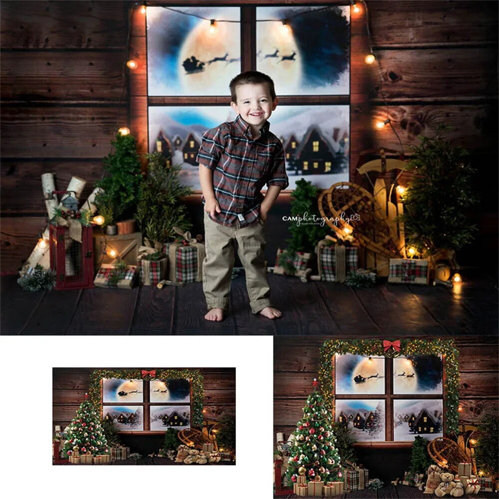 Newborn Baby Portrait Windows Photography Backdrop Winter Snow Merry ...