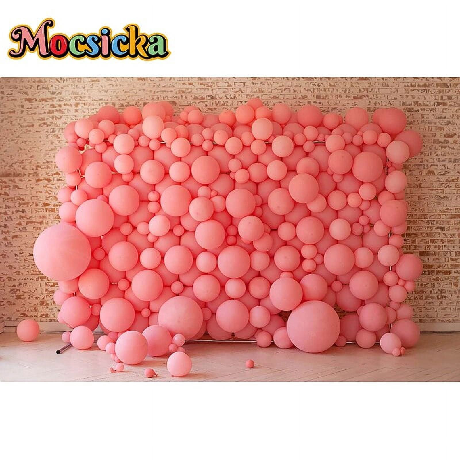 Newborn Birthday Party Photography Backdrop Cake Smash Balloon ...