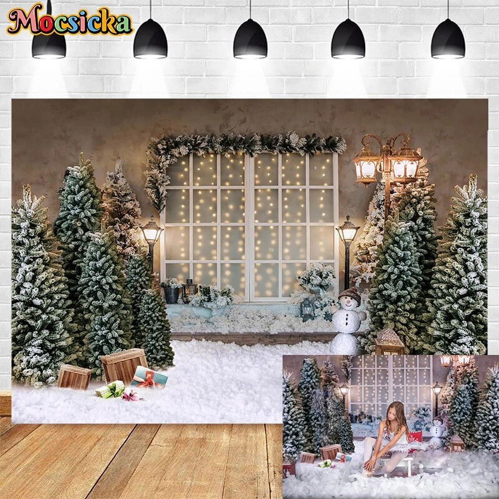 Newborn Kids Children Backdrop for Photography Winter Snow Scene Portrait Background for Photo ...