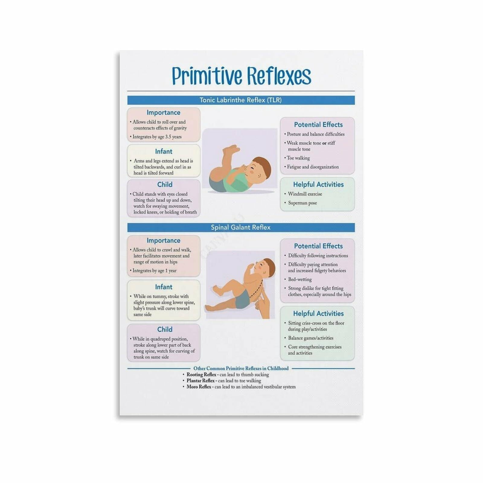 Newborn Reflexes Guide Poster Knowledge for New Parents (2) Canvas for ...