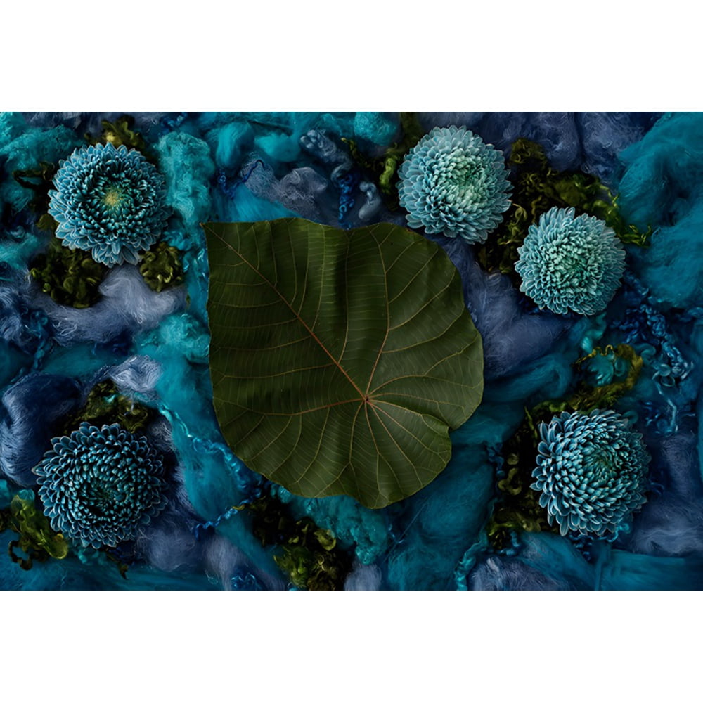 Newborn ic Portrait Photography Background Pink Floral Sweet Sleeping ...