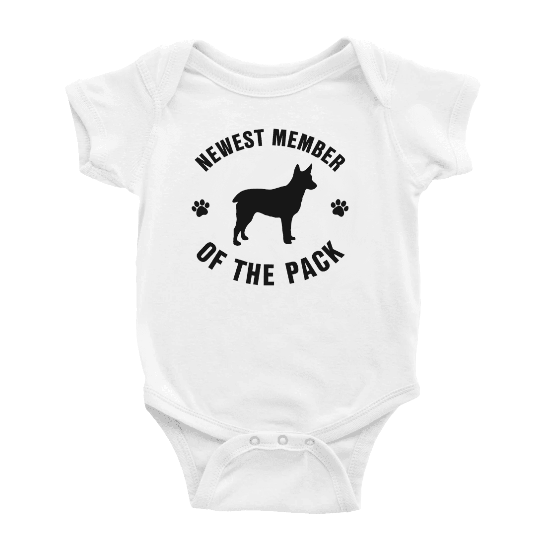 Newest Member of The Pack Australian Stumpy Tail Cattle Dog Funny Baby ...