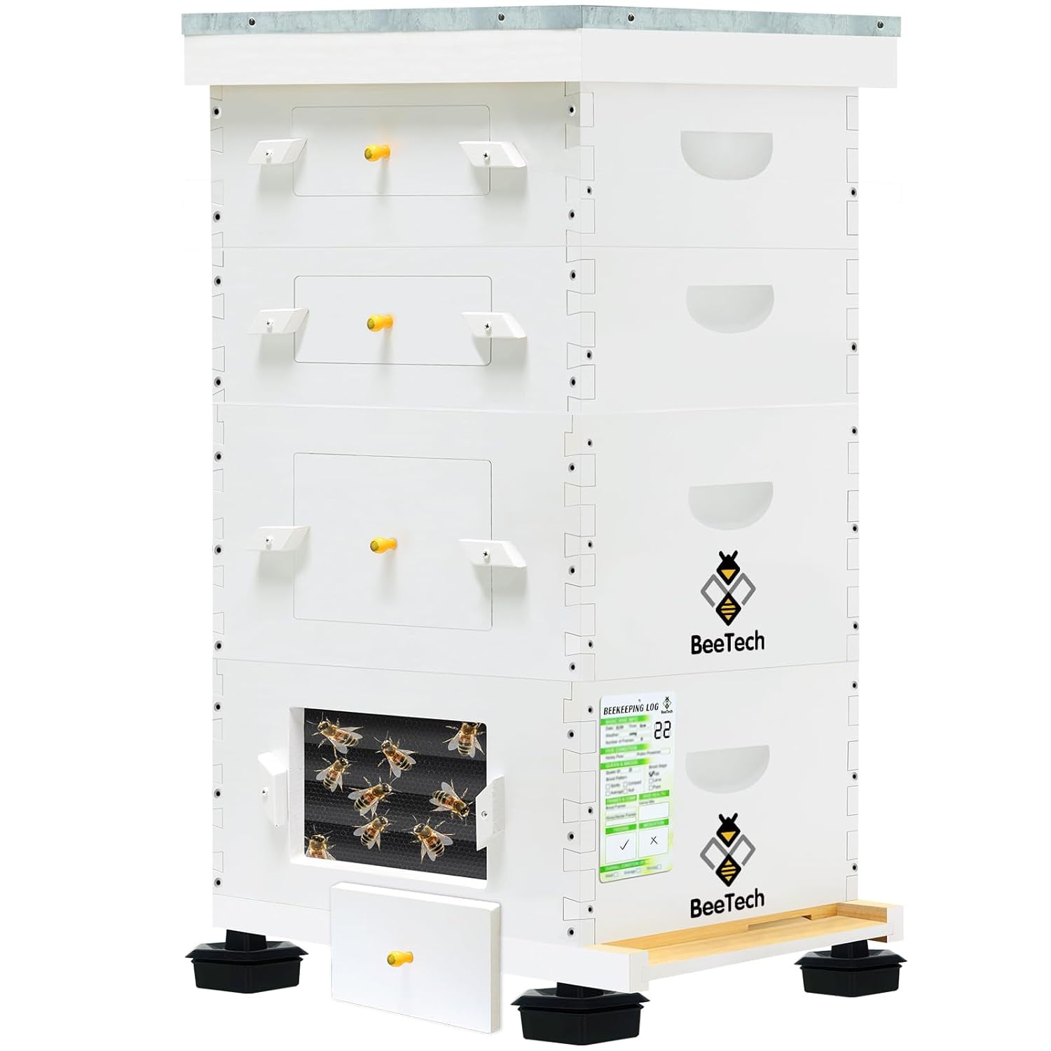 Newest Windows 10 Frame Beehive Hand Painted Includes Unassembled Bee ...