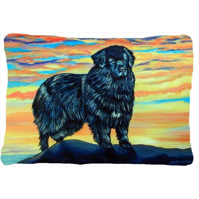 Newfoundland Decorative Indoor & Outdoor Fabric Pillow - Walmart.com