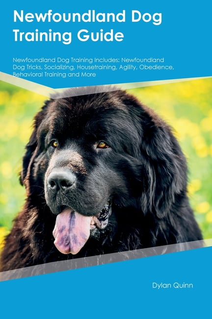 Newfoundland Dog Training Guide Newfoundland Dog Training Includes ...