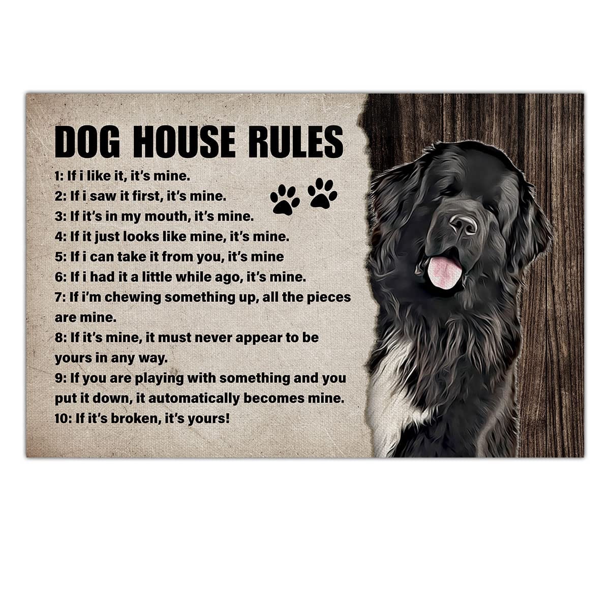 Newfoundland Floor Non-slip Doormat Porch Patio Outside Dog House Rules ...