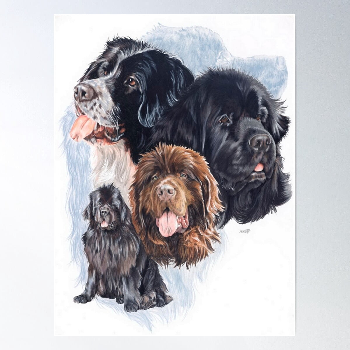 Newfoundland Revamp Poster, 8x12 UNFRAMED - Walmart.com
