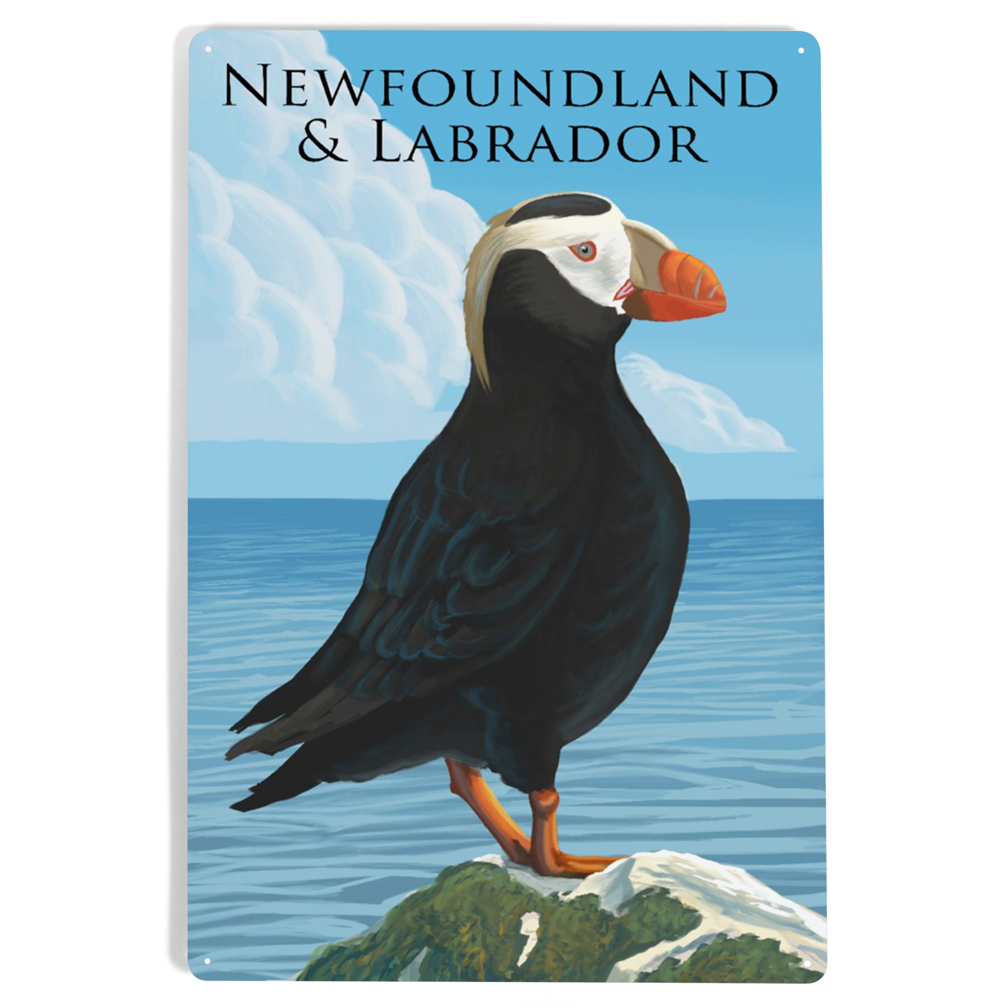 Newfoundland and Labrador, Puffin on Rock Scene (12x18 Aluminum Art ...