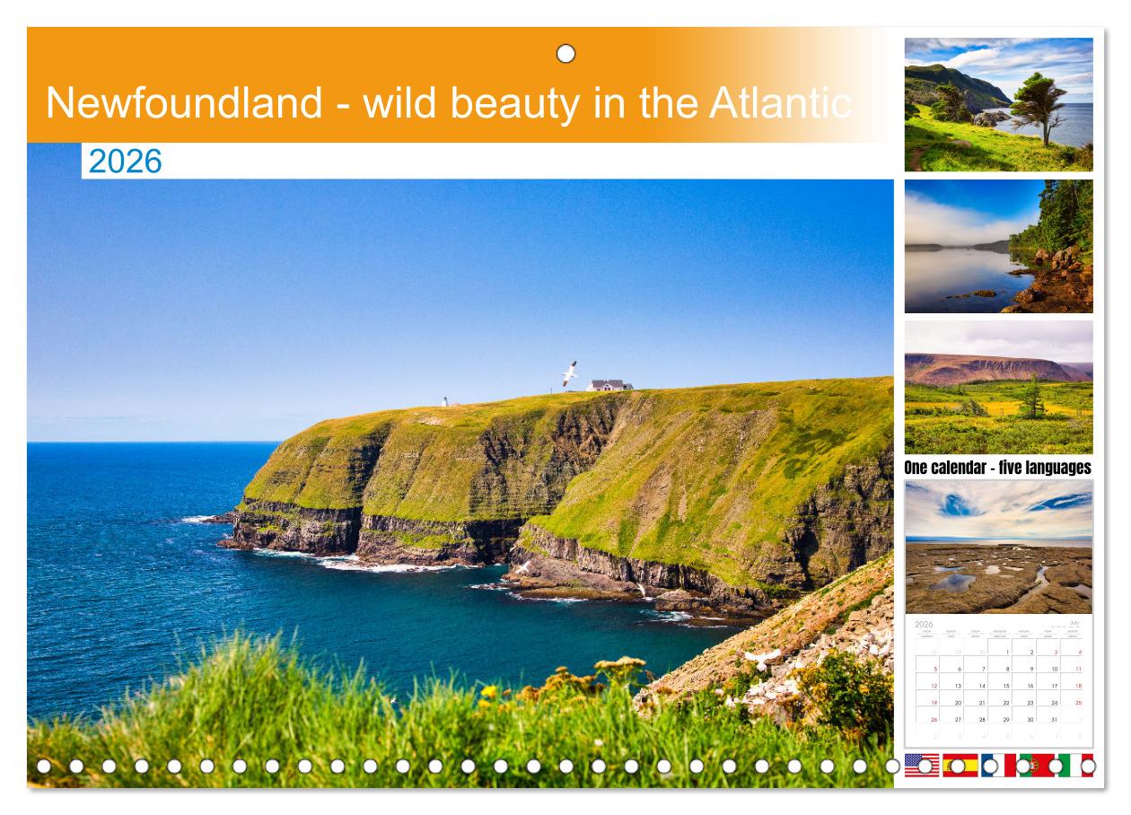 Newfoundland - wild beauty in the Atlantic (Monthly Wall Calendar 2026 ...